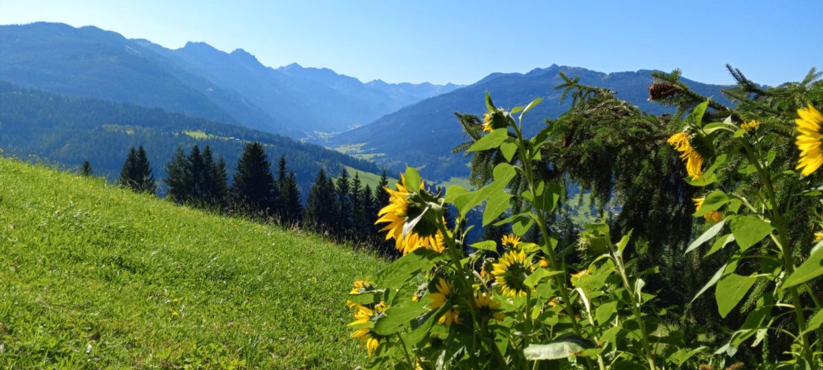 Sommer